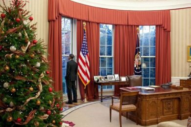White House Design: Layout, Design, and Interesting Facts