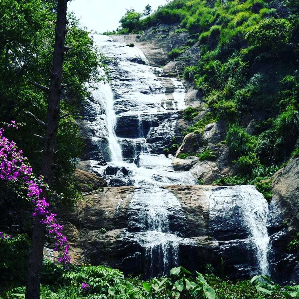 कोडाइकनाली में घूमने के लिए शीर्ष 16 स्थान | Housing News