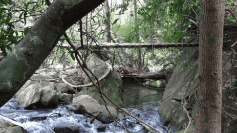 Places To Visit In Attapadi, Tourist Places & Top Attractions