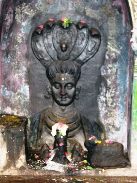 சேலத்தில் பார்க்க வேண்டிய முதல் 9 இடங்கள் | Housing News