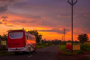 234 bus route in Delhi: Schedule, timings, stops and fare