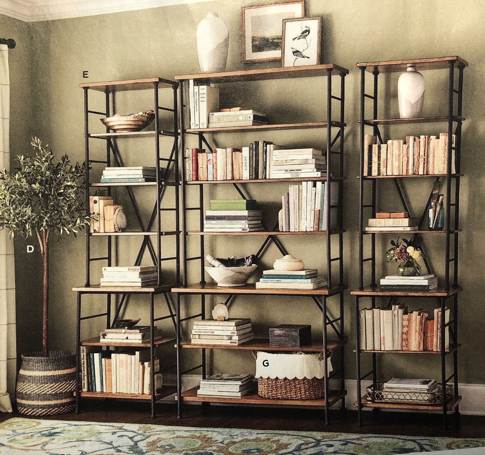 Trending showcase design ideas for living room