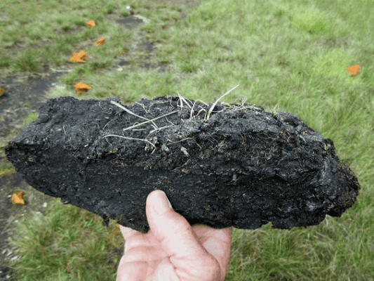 What is peat and what is its importance in gardening?