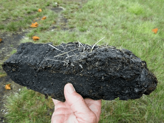 What is peat and what is its importance in gardening?