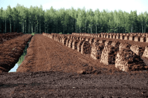 What is peat and what is its importance in gardening?