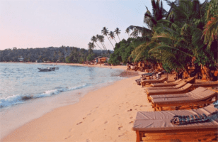Sri Lanka Tourist Places That You Can't Miss To See