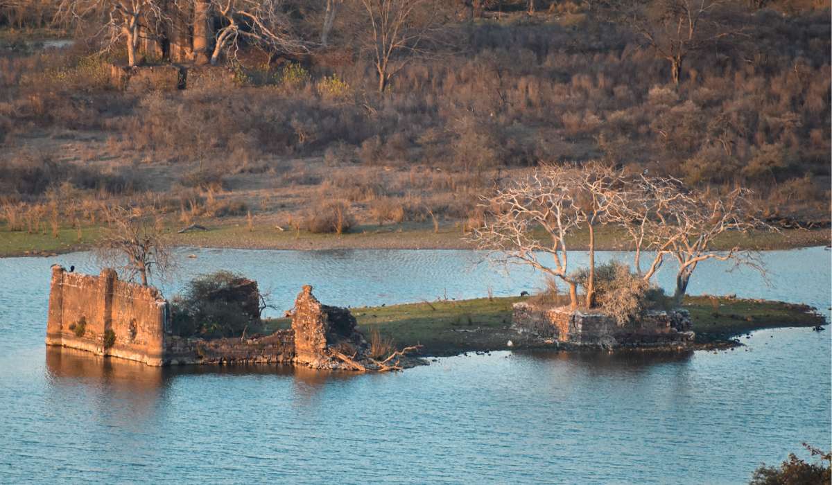 Top Ranthambore resorts for a luxurious stay