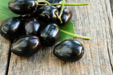 Jamun Tree: Facts, Benefits, How to Grow & Care in 2023