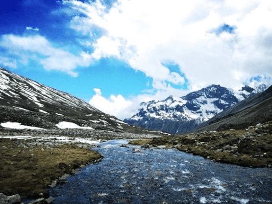 Yumthang: Popular destination of the Valley of Flowers