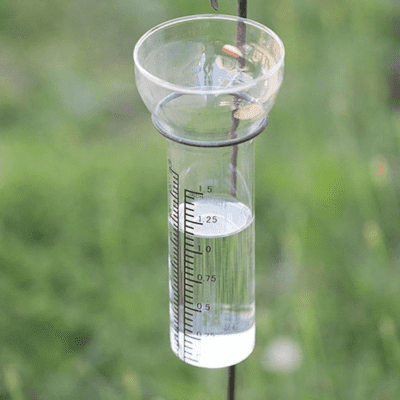 How to measure rainfall: All you need to know