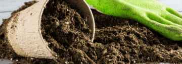 Soil Density: What is it and Why is it Important