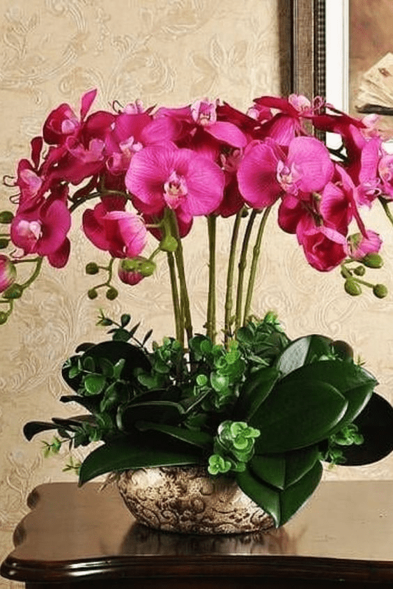 Flower Vase Designs: Elevate Your Home Decor
