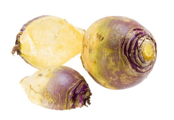 Edible Roots: Everything You Need to Know