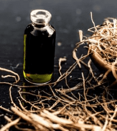 Vetiver: Know facts, benefits, grow and care tips