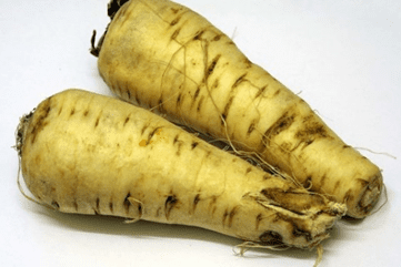 Edible Roots: Everything You Need to Know