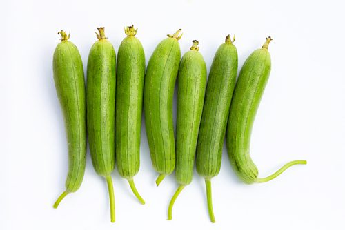 Types Of Gourd Vegetables