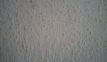 Trending cement design ideas for your home