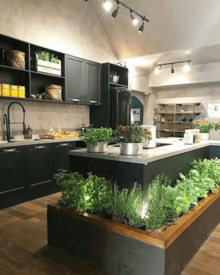 Indoor Garden Design Ideas for your Living Space