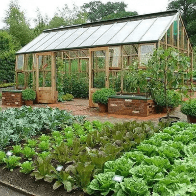 Home garden ideas for your outdoor space