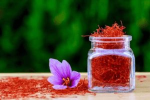 Saffron plant or kesar flower: Facts, growth, care tips and uses