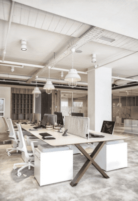 Office decoration ideas for a lively workplace