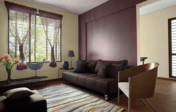 Incredible Asian Paints colour combinations