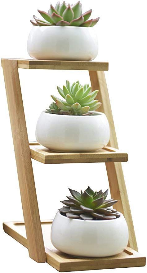Flower pot stand design ideas for your home