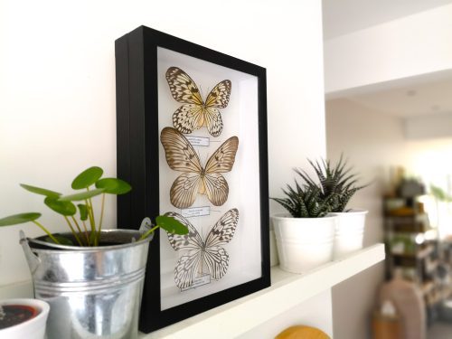 Modern Wall Frame Design to Enhance your Interiors