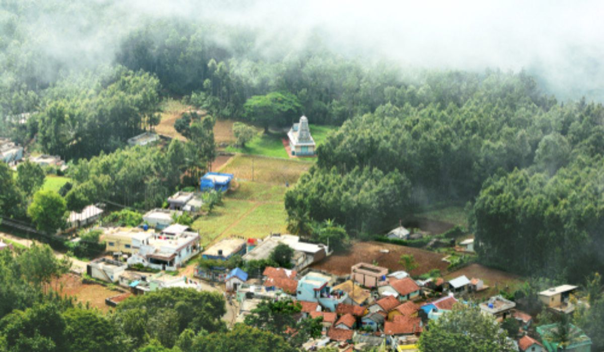 Yercaud resorts: A list of incredible resorts