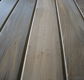 Cypress Tree: How to Grow and Maintain, Tips