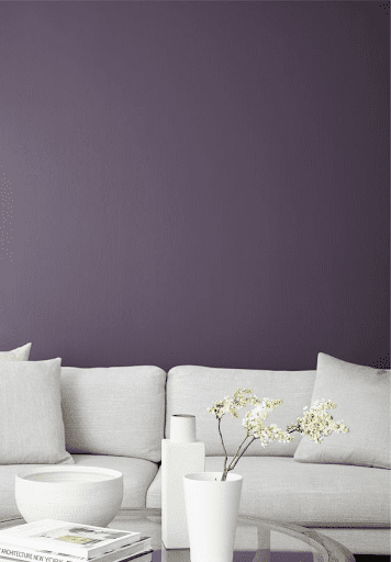 Purple Colour Paint Hues to Brighten up your Interiors