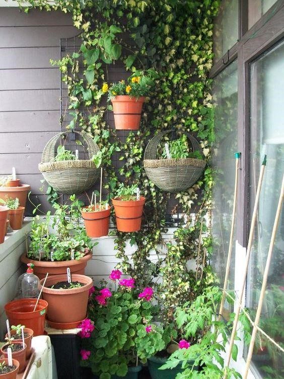 Simple Gardening Ideas