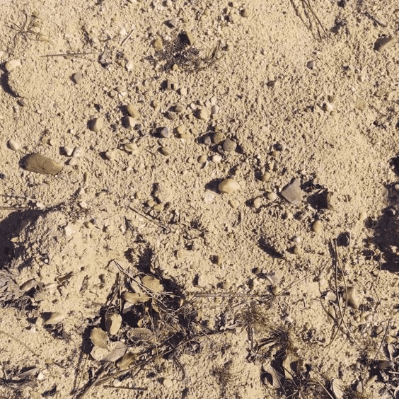 Types of soil: Characteristics and uses