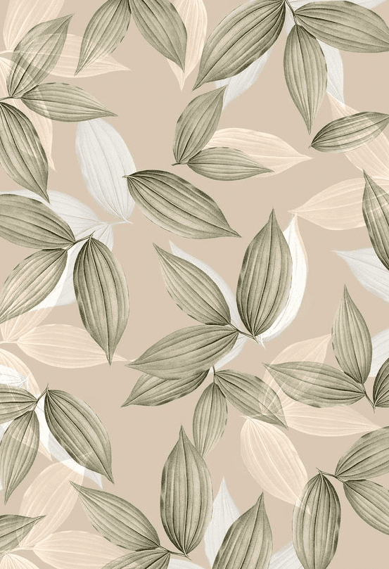 Beige Color Wall: A Timeless and Elegant Choice