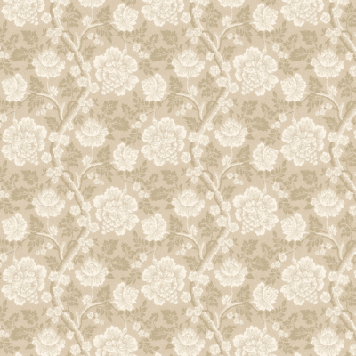 Beige Color Wall: A Timeless and Elegant Choice