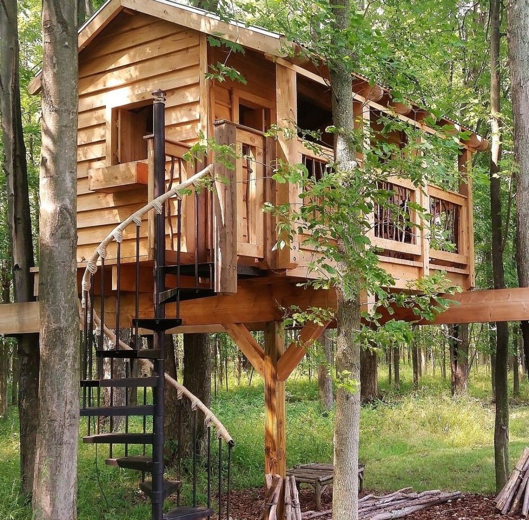 Timber Tree: A Natural Resource for Sustainability