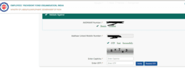 Online steps for EPFO password reset in 2024
