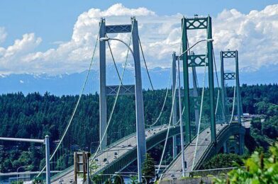 Cable-stayed bridge: Fact guide