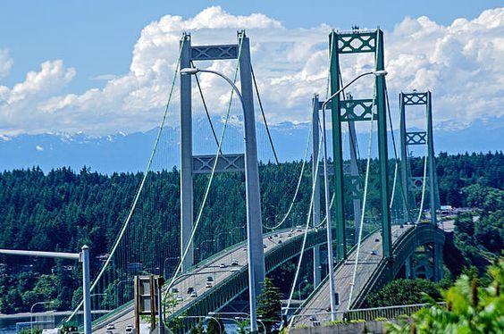 Cable-stayed bridge: Fact guide