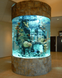 Modern fish tank ideas for home