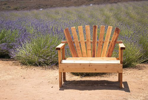 Garden Chair Design Ideas in 2023