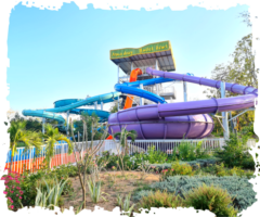 Shankus Water Park: Entry fee, timing, location