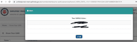 Forgot UAN number: Find it online with Aadhaar, mobile no., PAN