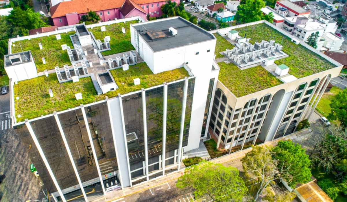 Green roofs and vertical gardens for biodiversity in real estate
