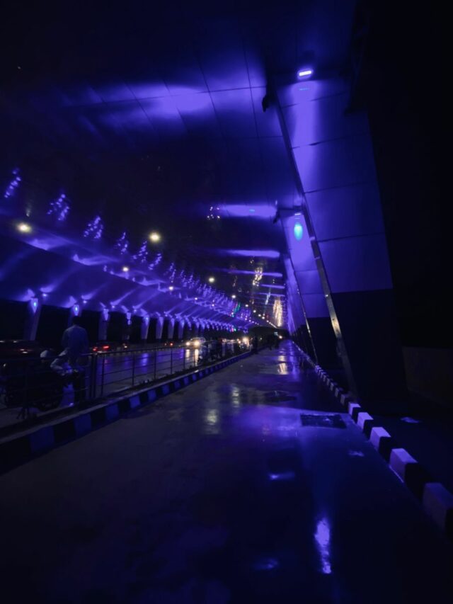 Akota Bridge in Vadodara: Construction and design