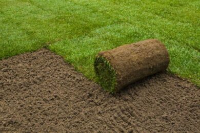 What is sod? How to install it?