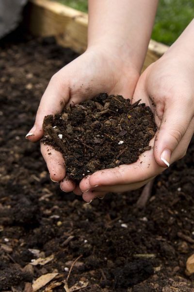 Soil: Types, composition, formation and characteristics