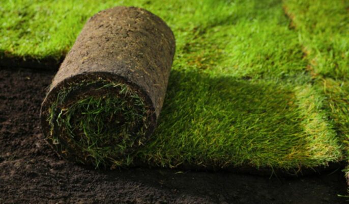 What is sod? How to install it?