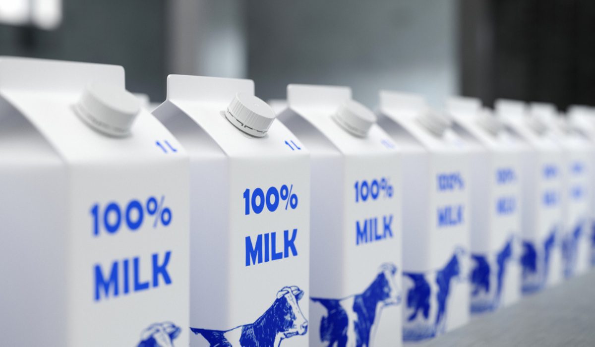 Top dairy companies Bangalore