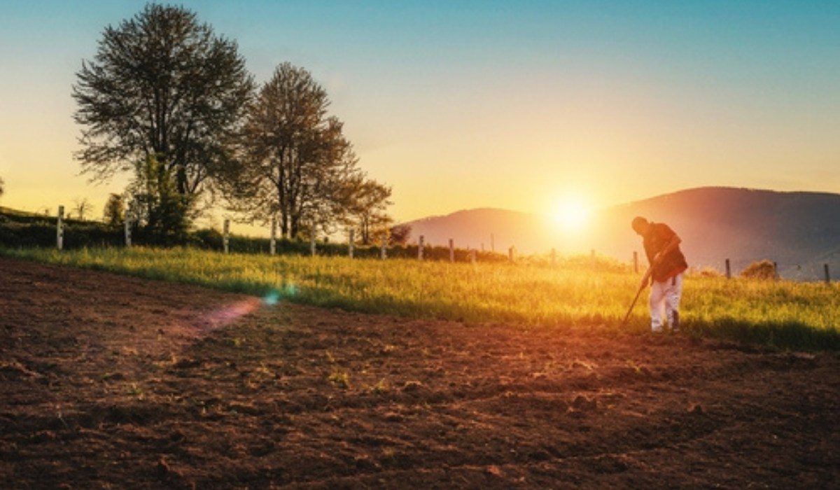 What is Latha Girdawari?